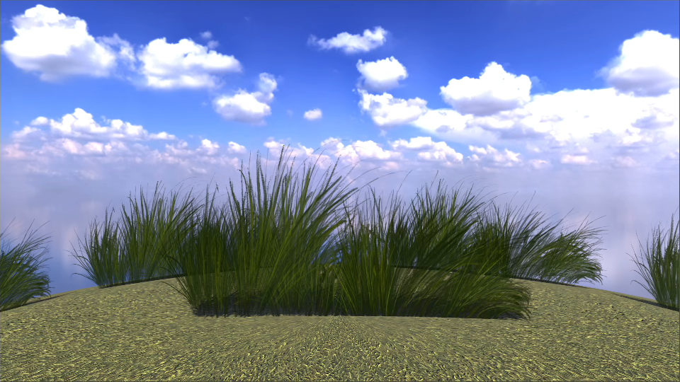 Dune Green Grass - European Flora